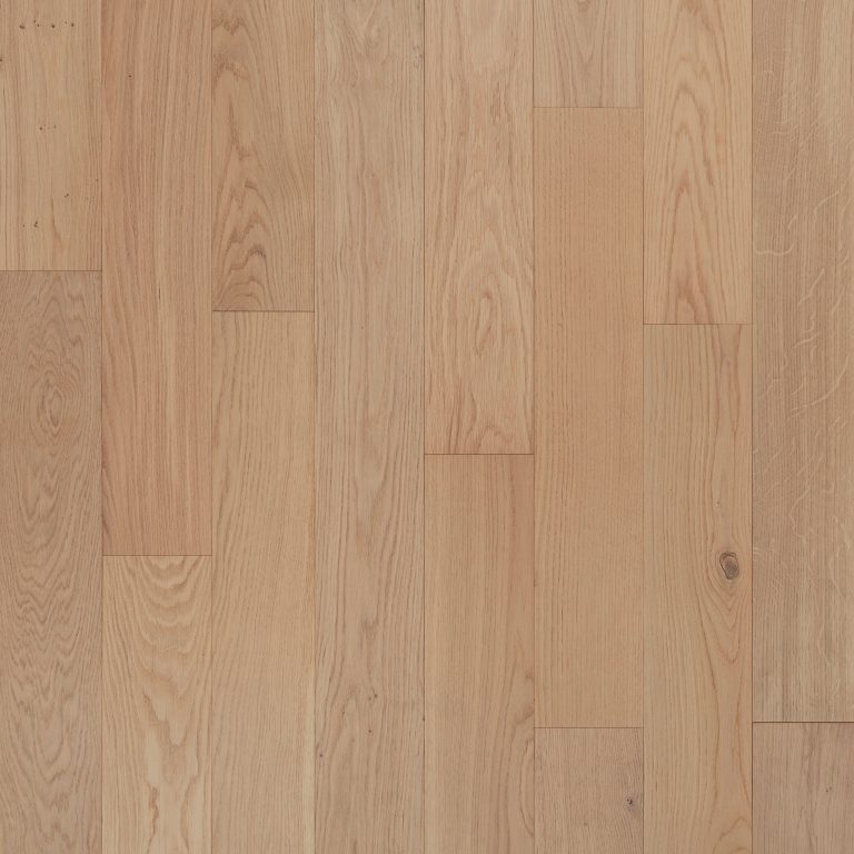 OAK-Egg Shell - CHAMPACA