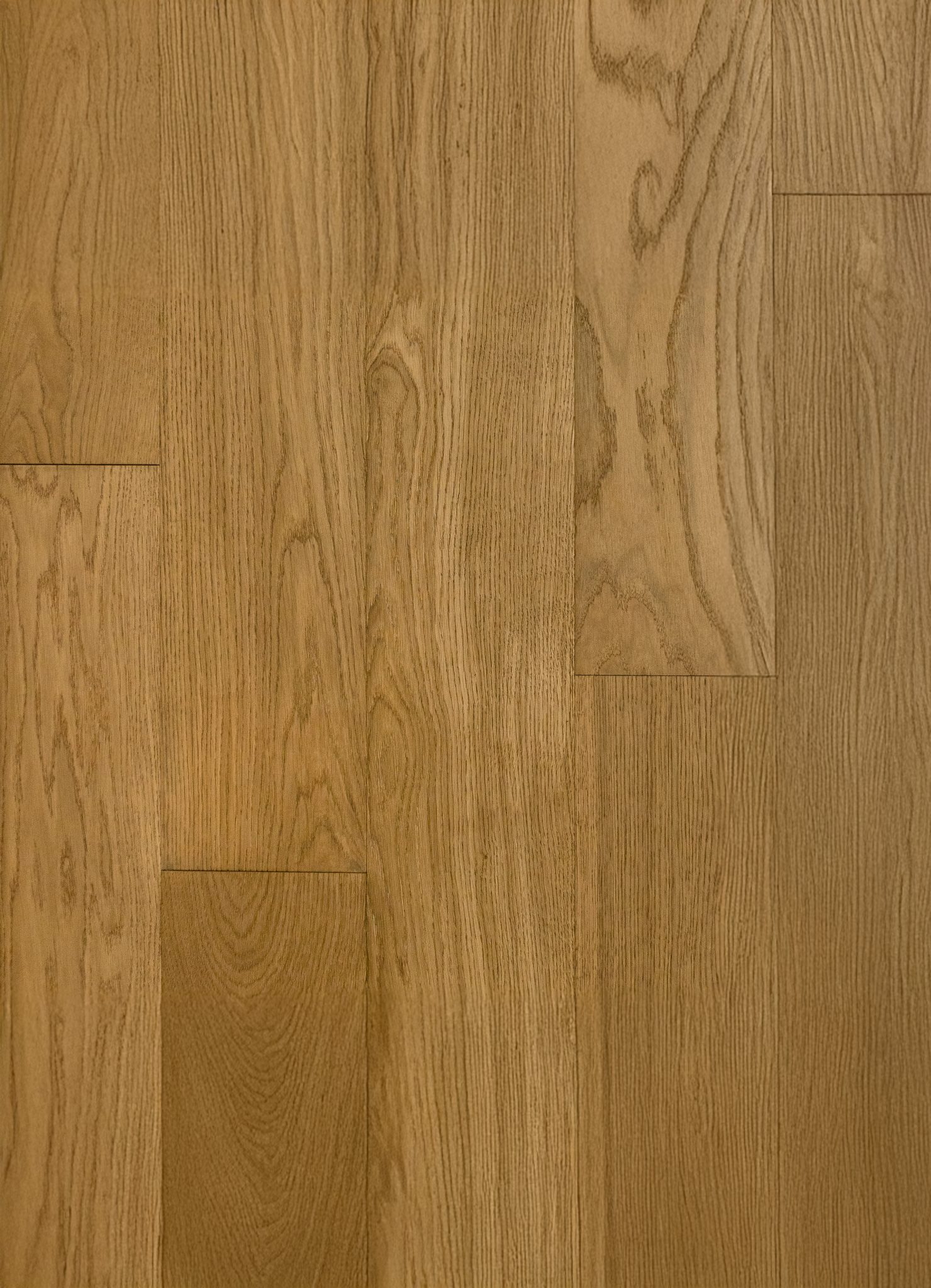 OAK-Sahara - CHAMPACA